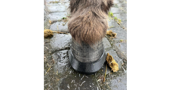 MoreAid Donkey Squish Pads 4 - SCOMORDS4