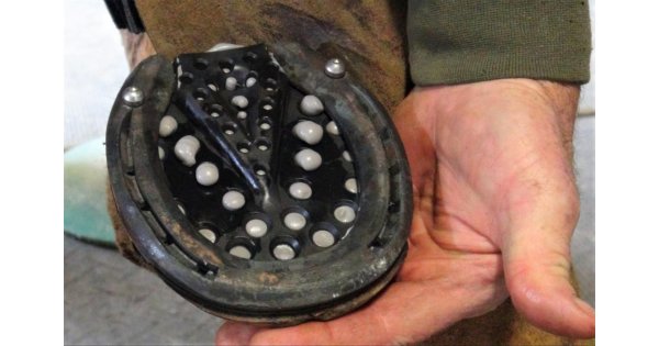 3D HoofCare Hoof Pads 101: What You Need to Know