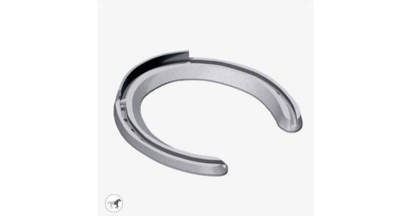 St. Croix Quarter Horse F 6 - SRACQF6